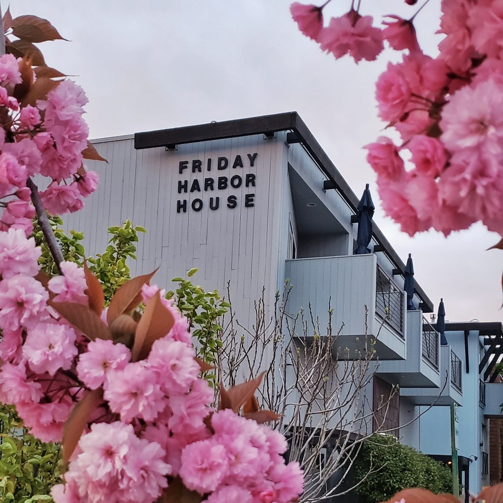 More Delicious Views Coming This Spring - Friday Harbor House